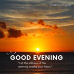 201+ Beautiful Good Evening Images with Quotes - Short Quotes